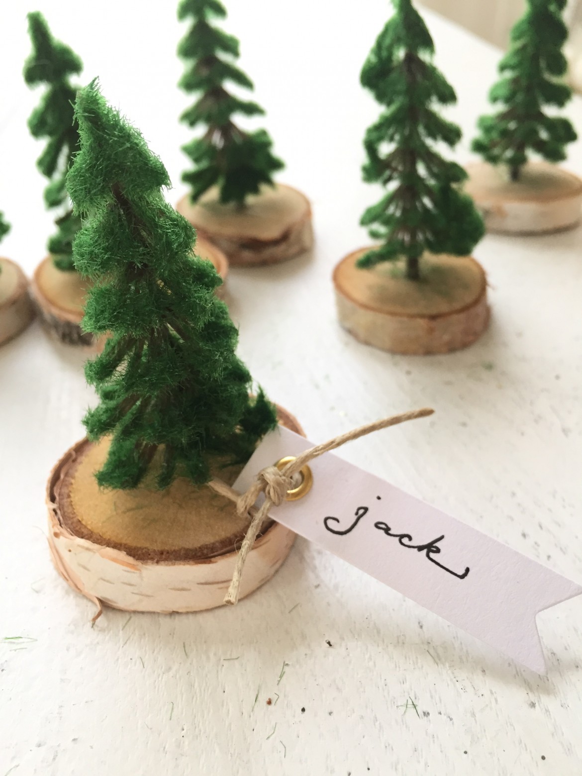 Mini Forest - Giggle Living