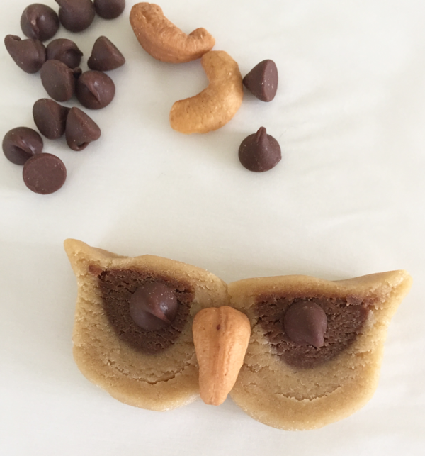 Cookies shaped like little owls are a fun autumn treat!