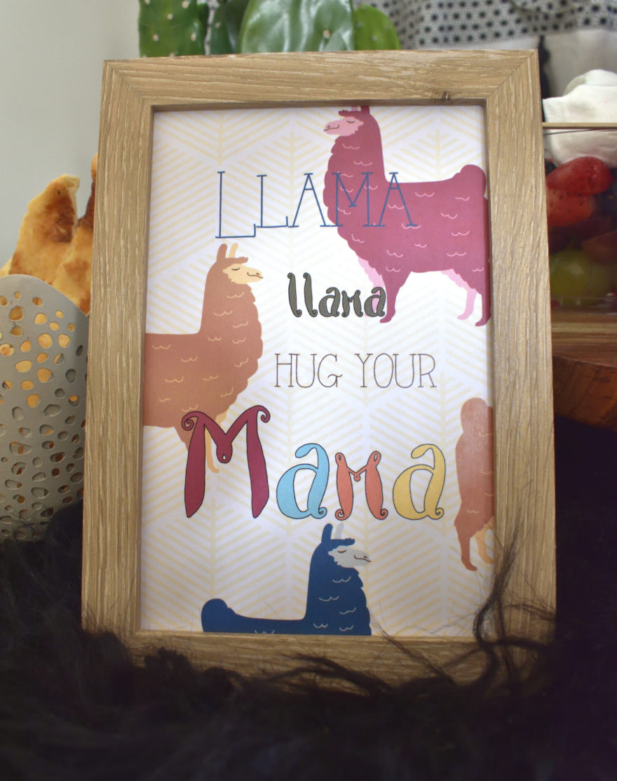 Llama theme party ideas that are perfect for a Mom's day celebration!