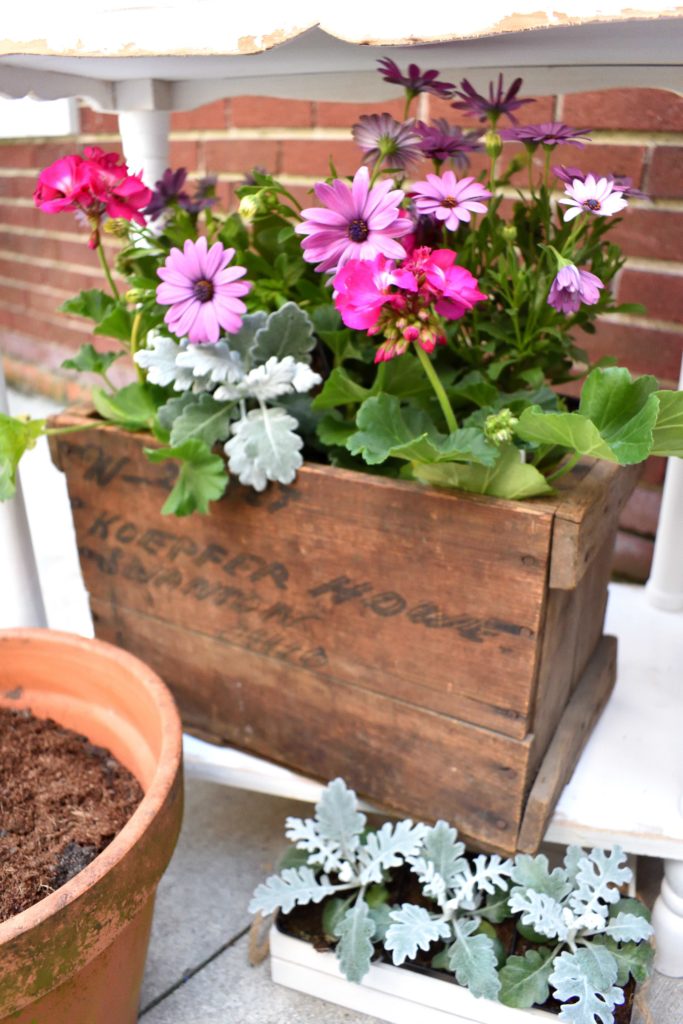 A flower potting party for springtime fun! See the simple inspiration!