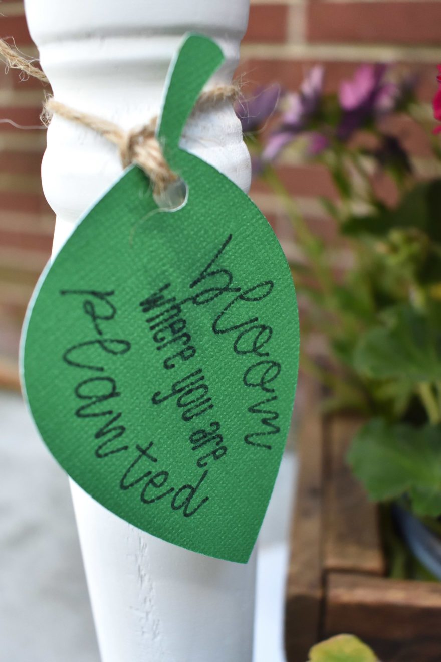 A flower potting party for springtime fun! See the simple inspiration!