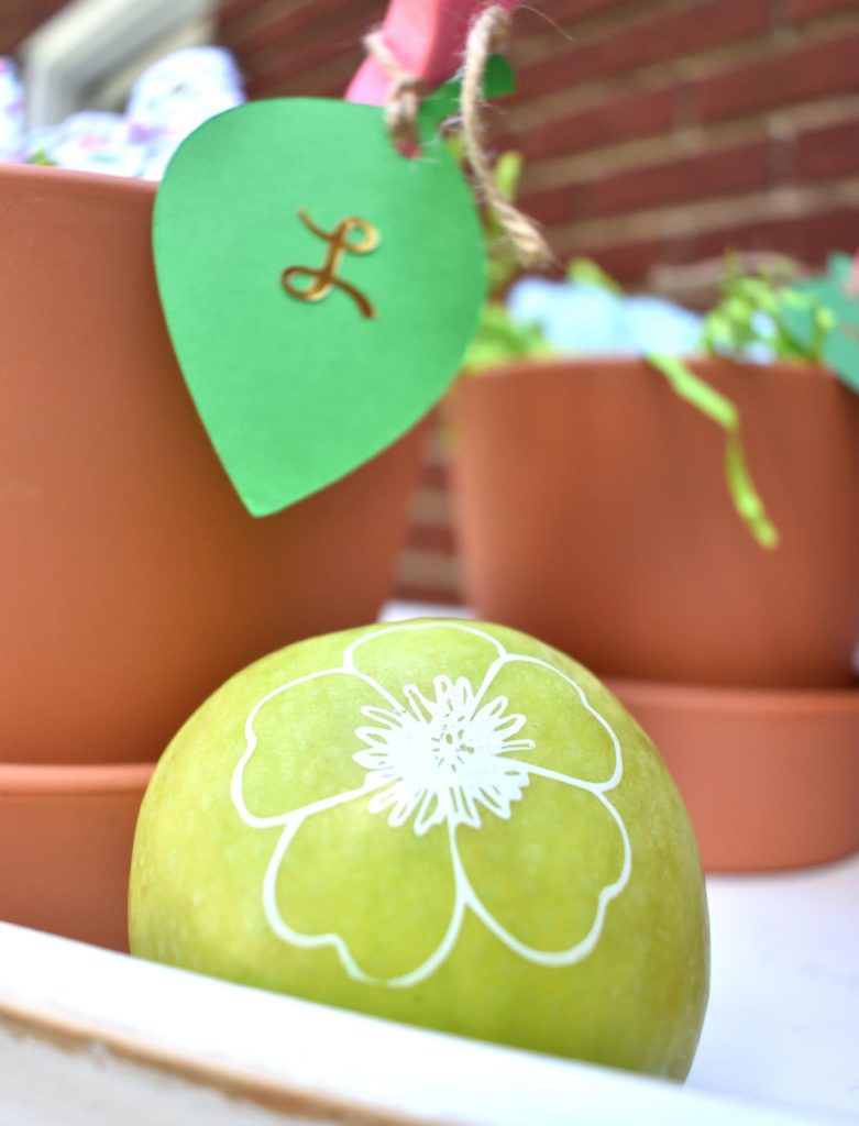 A flower potting party for springtime fun! See the simple inspiration!