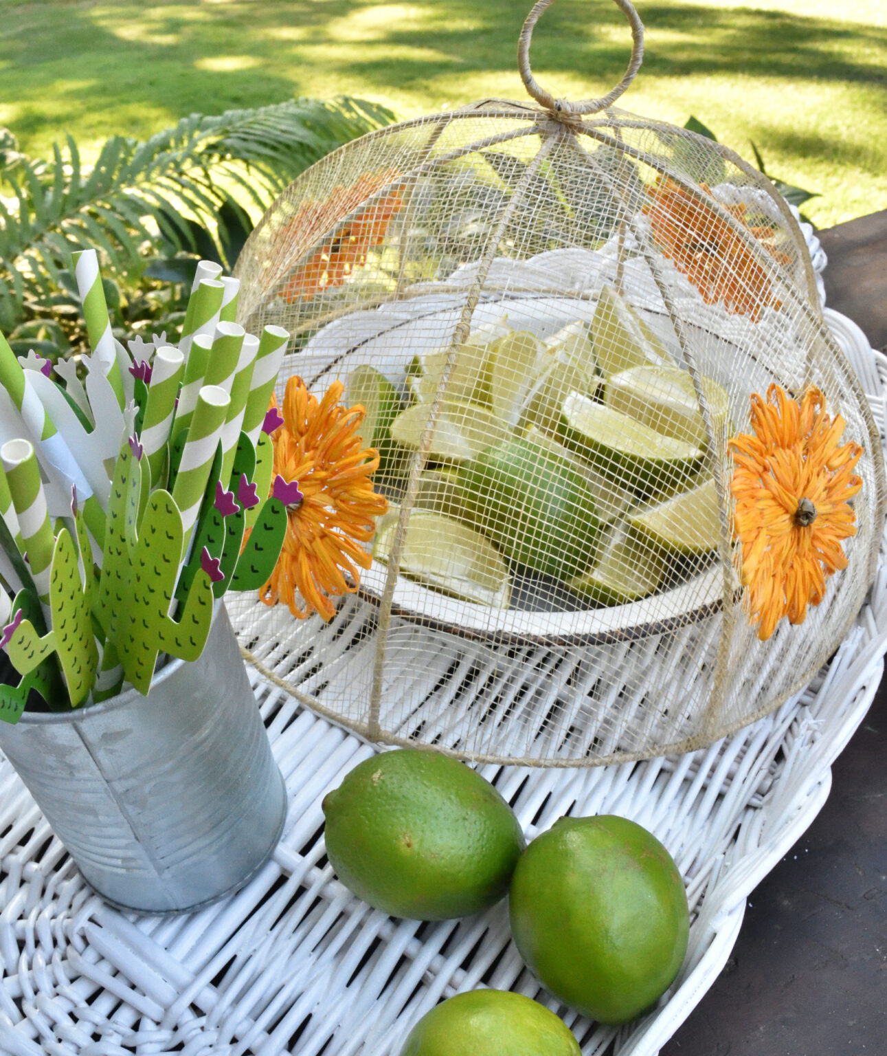 A summer fiesta is the perfect way to celebrate the season!