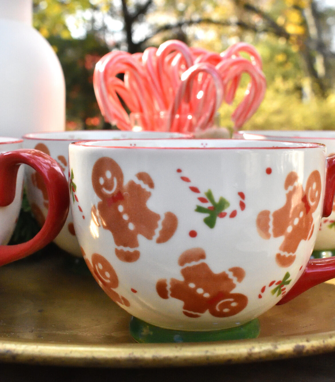 Cocoa season is here! See easy holiday inspiration for serving it!