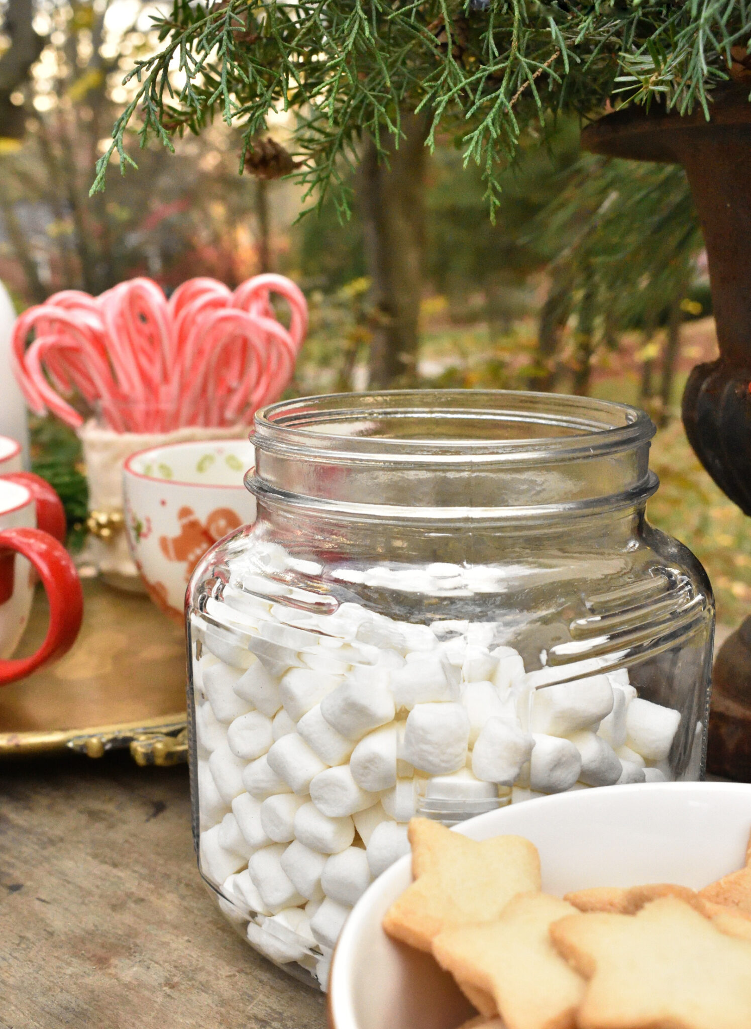 Cocoa season is here! See easy holiday inspiration for serving it!