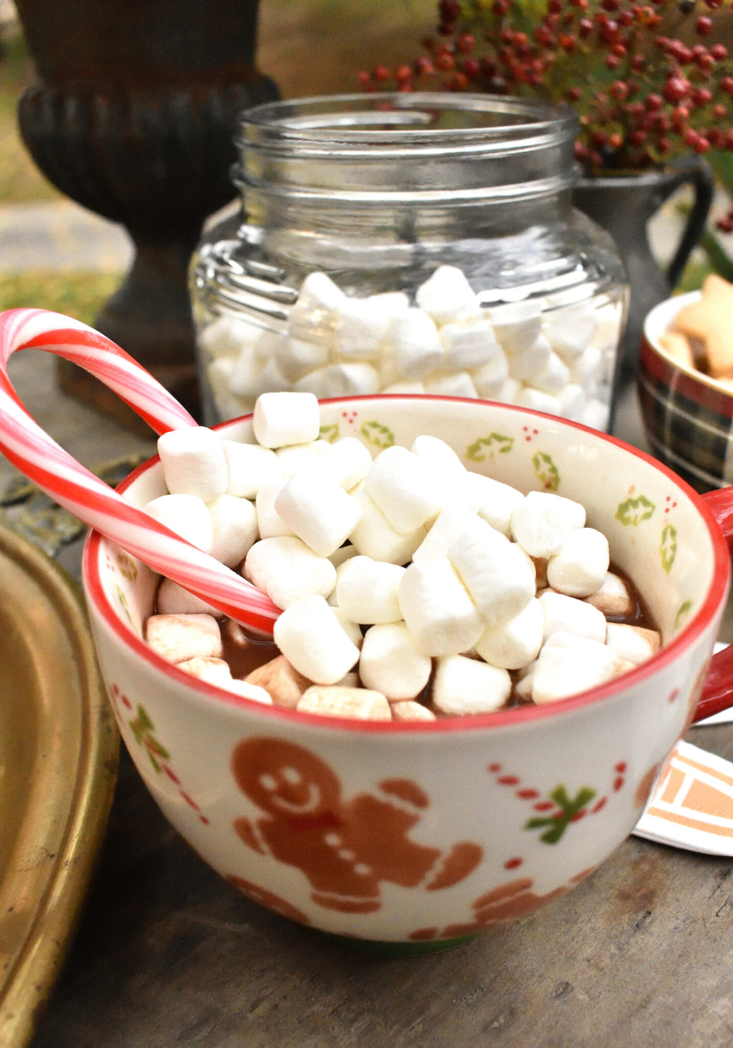 Cocoa season is here! See easy holiday inspiration for serving it!