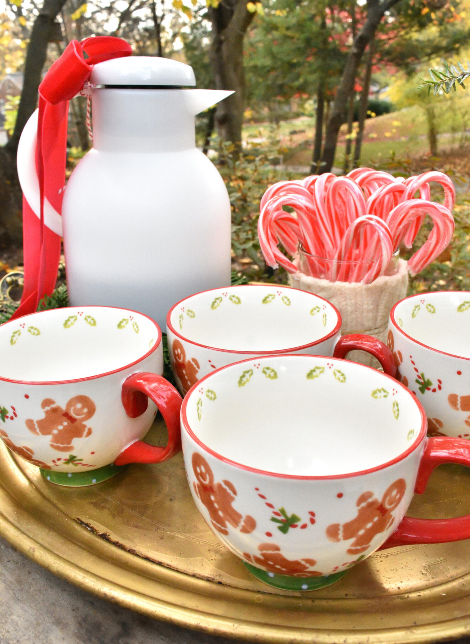 Cocoa season is here! See easy holiday inspiration for serving it!